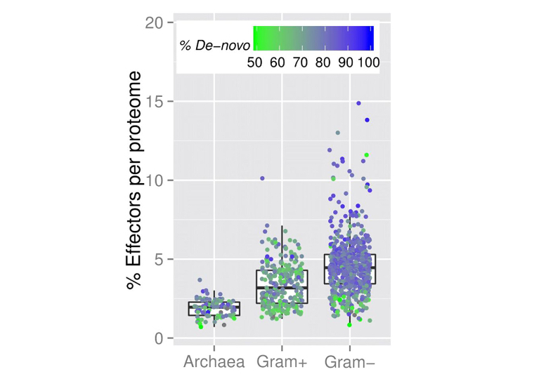 pEffect | BrombergLab