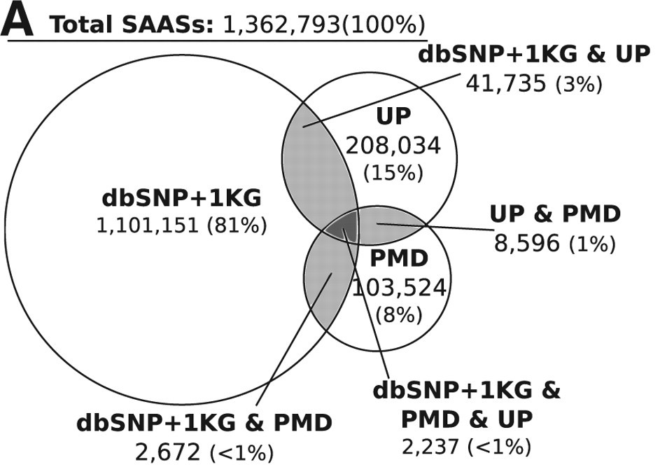 SNPdbe | BrombergLab
